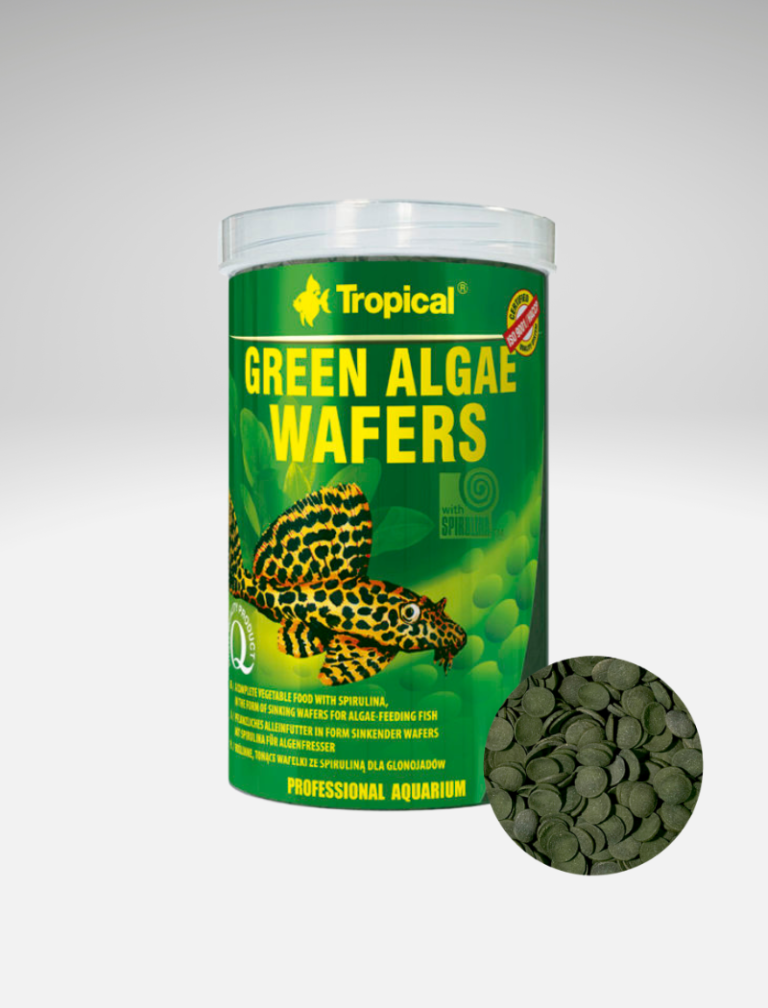 Green Algae Wafers - galpãoanimal